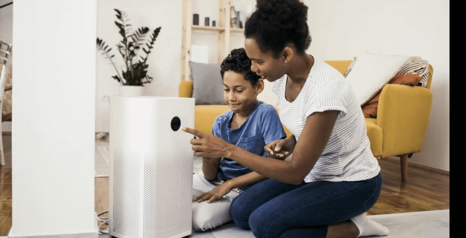 Air Purifier Maintenance : Tips for Cleaning and Servicing Air Purifiers