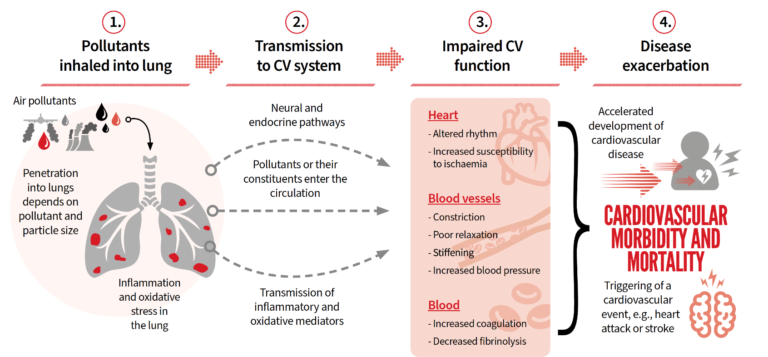 Air Pollution and Cardiovascular Disease: An number 1 Urgent Health Crisis